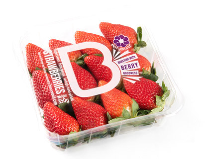 BerryWorld strawberries - Our Fruit - Piñata Farms